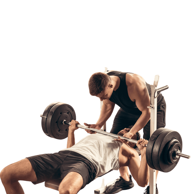 Men/Muscle Building - Herzog Vitality Center